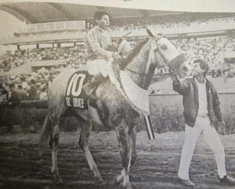 La historia de la hipica peruana: EL DUCE, La nobleza hecha caballo.