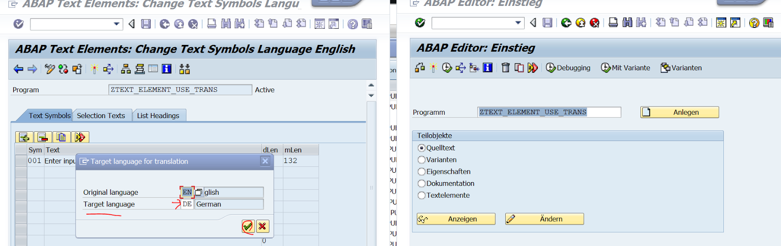 TECHSAP : Benefits of use of text elements and its translation