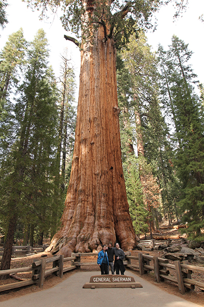 Sequoia/ Alabama Hills/ Death Valley/ L.A. pt.1 : Bear Ears