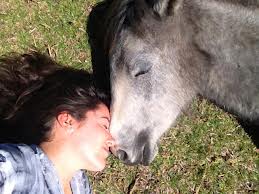 All Natural Resources: Protandim Sucess Story/Testimonial (Horse)