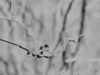 pct photography: Solarization