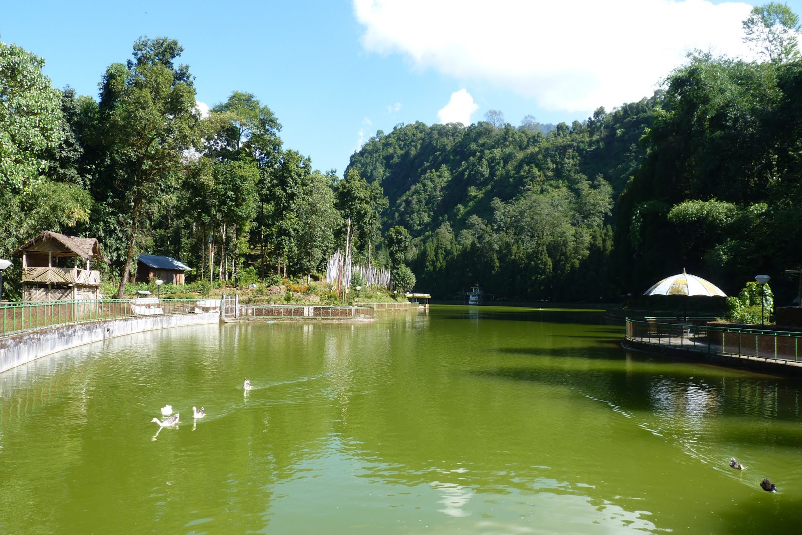 Aritar Lake,Sikikm - Explore Offbeat Trails Of Sikkim, | Delightful ...