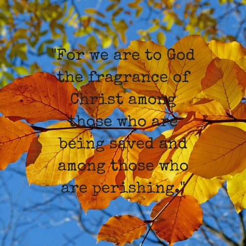 Daily Grace, Todays Godly Reminder , Bible Quotes, Verses, Prayers ...