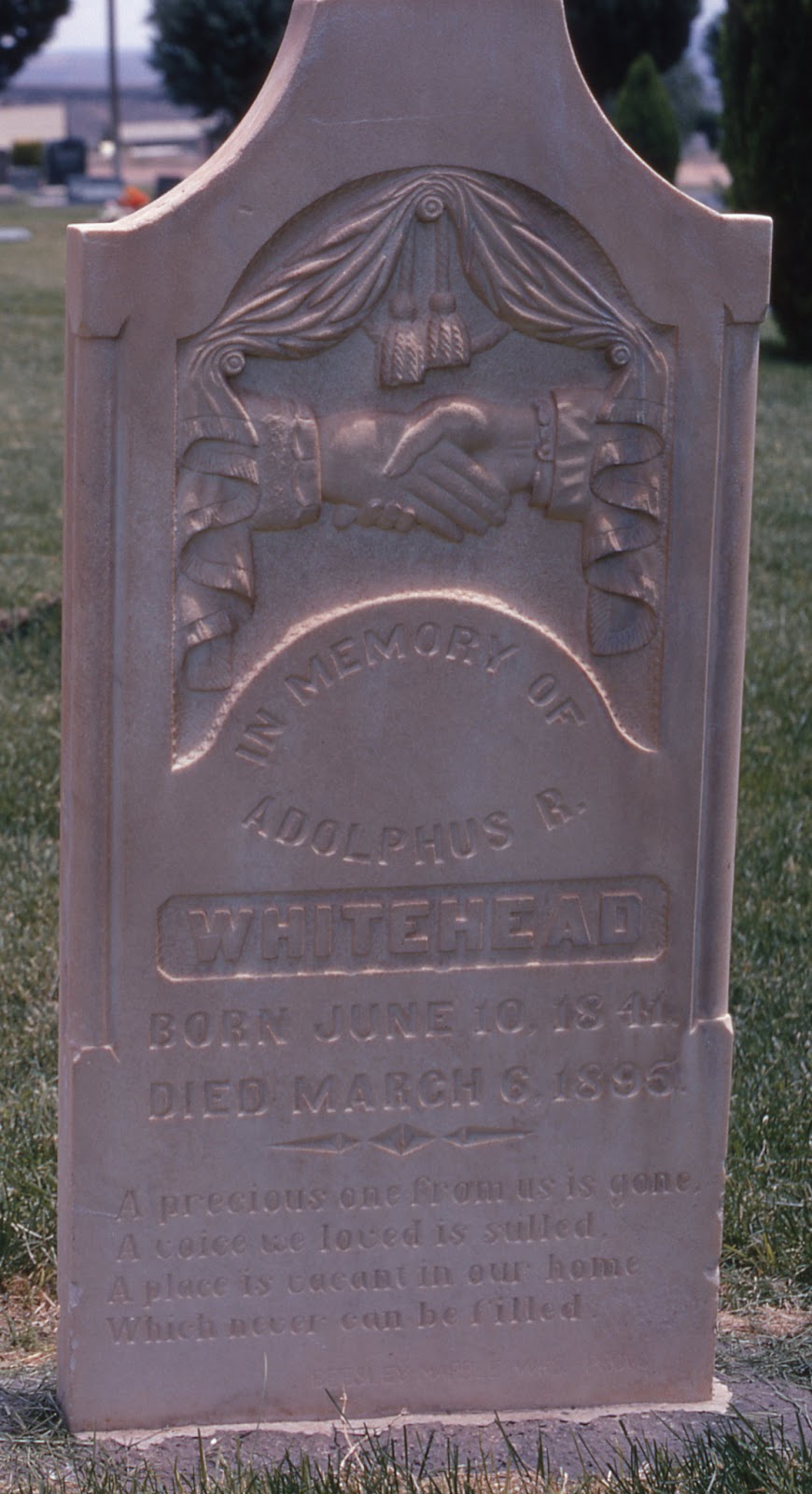 Whitehead & Jensen Family Forum: FINAL UPDATE: Adolphus Renny Whitehead ...