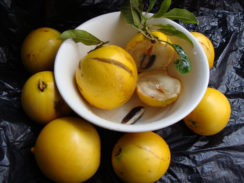 1000 e Uma Especiarias: Abiu, mais uma delícia, das muitas que vêm da ...