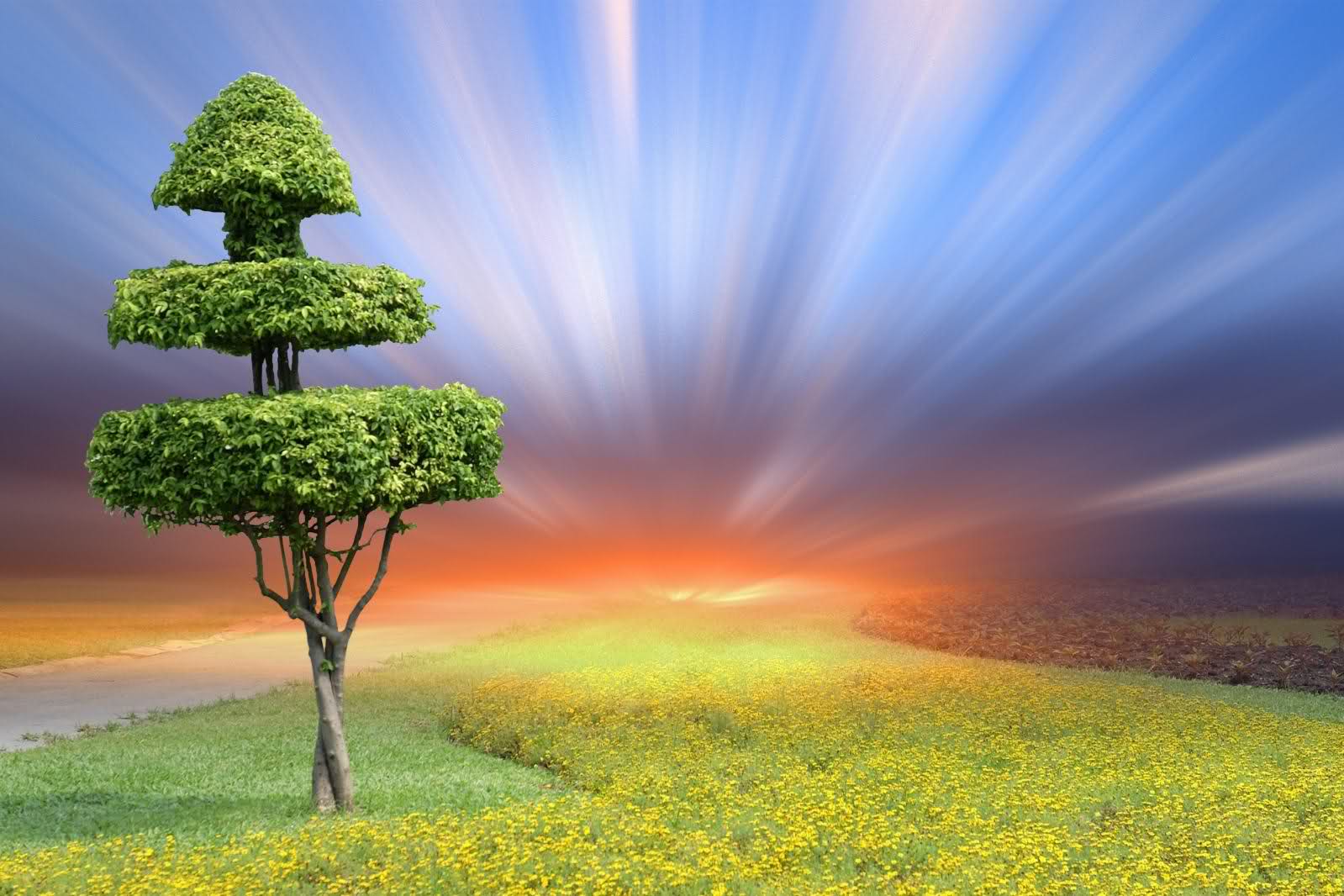 Fondos para montajes de Photoshop - Imagui