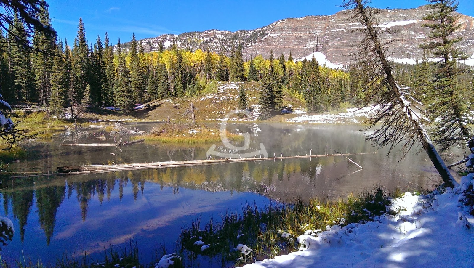 Rocking G Photography: Page 8