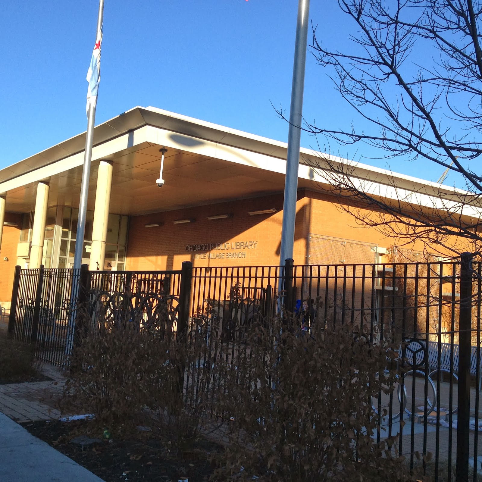 Chicago Library Journeys