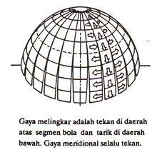 Struktur Cangkang - Bijeh Team