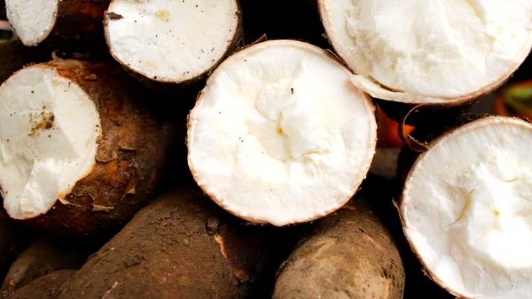 Frutas típicas del Chocó
