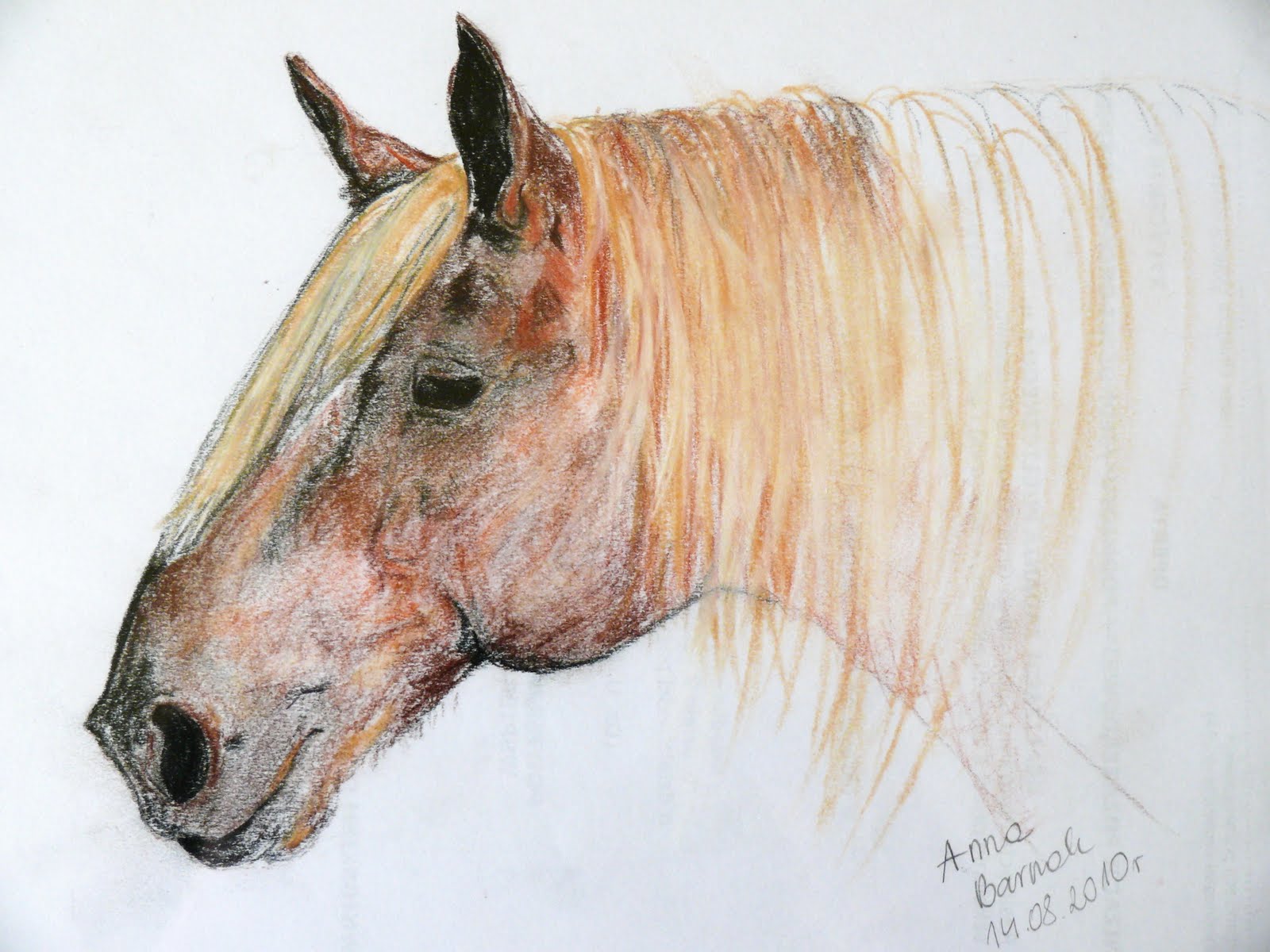 rysunki- ankaa: konie