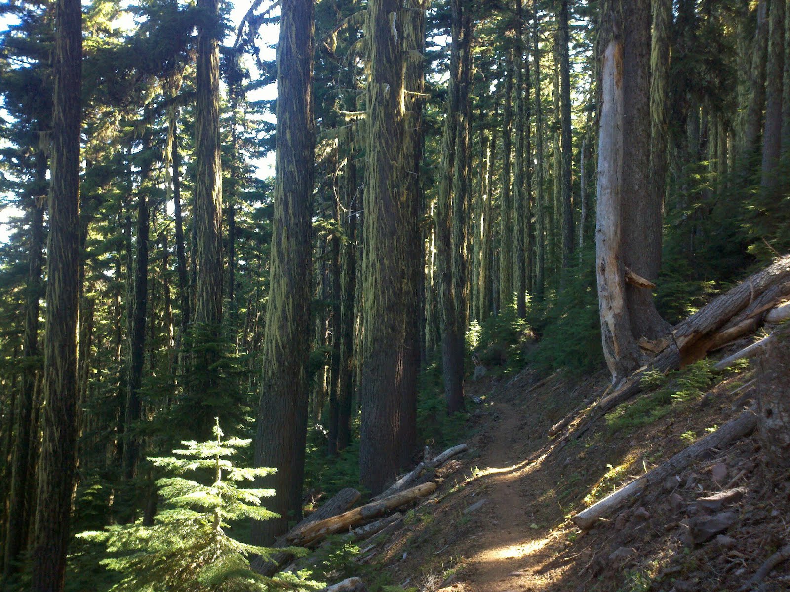 Not all who wander are lost. ~ J.R.R. Tolkien Thru-Hiking the Pacific ...