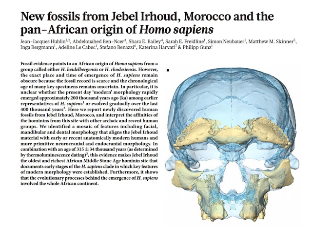 Data Deluge: New fossils from Jebel Irhoud, Morocco and the pan-African ...
