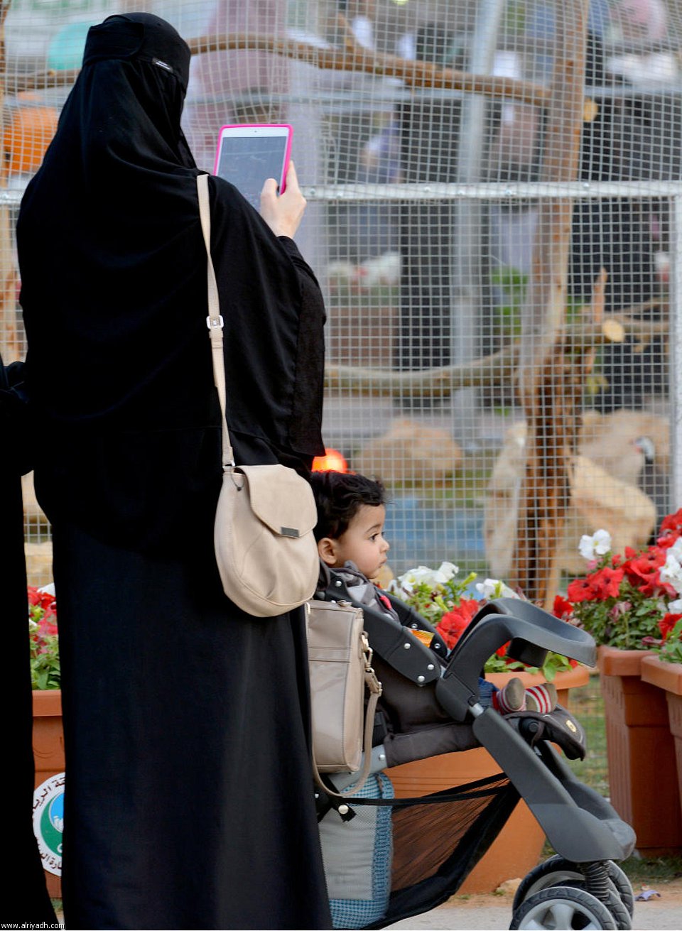 فعاليات مهرجان الزهور التاسع بالرياضالمقام في ساحة العروض بالدائري ...