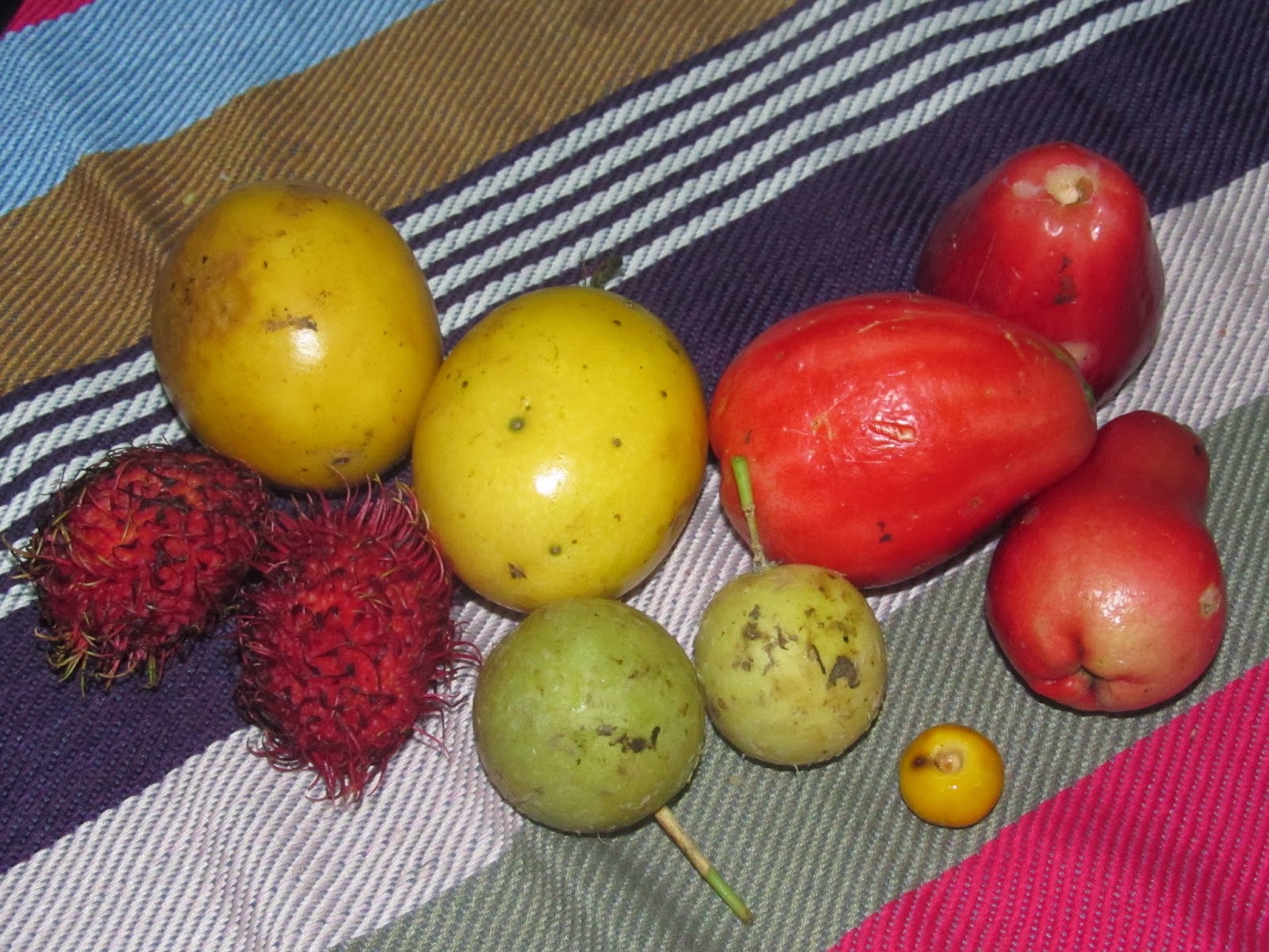 Not all who wander are lost: Yummy Salvadoran food