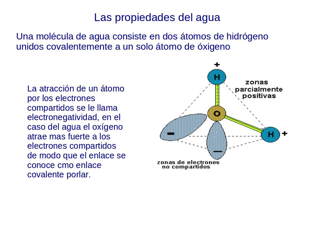 Café y Biología: Lección 2 Propiedades del agua