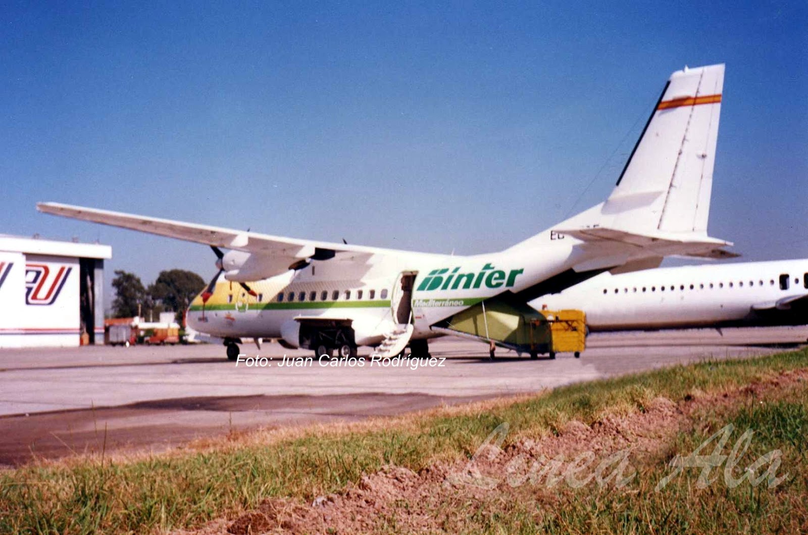 Linea ALA: Antes de volar con Inter Austral