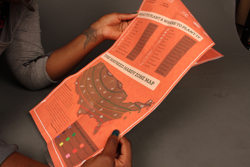 Hayseed (Student Project) – Packaging Of The World