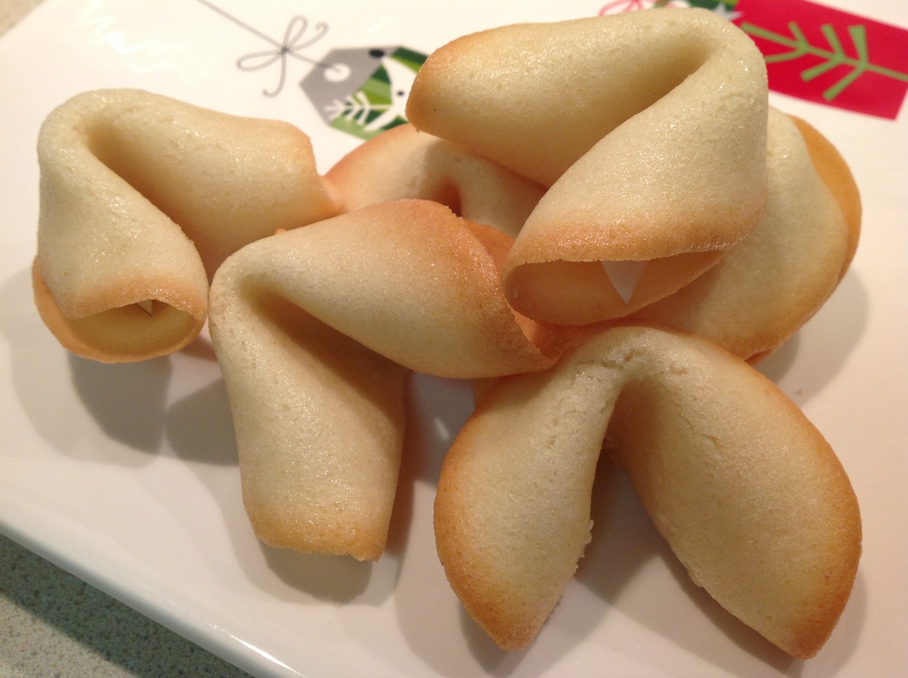 Cook In / Dine Out: Barnes Fortune Cookies