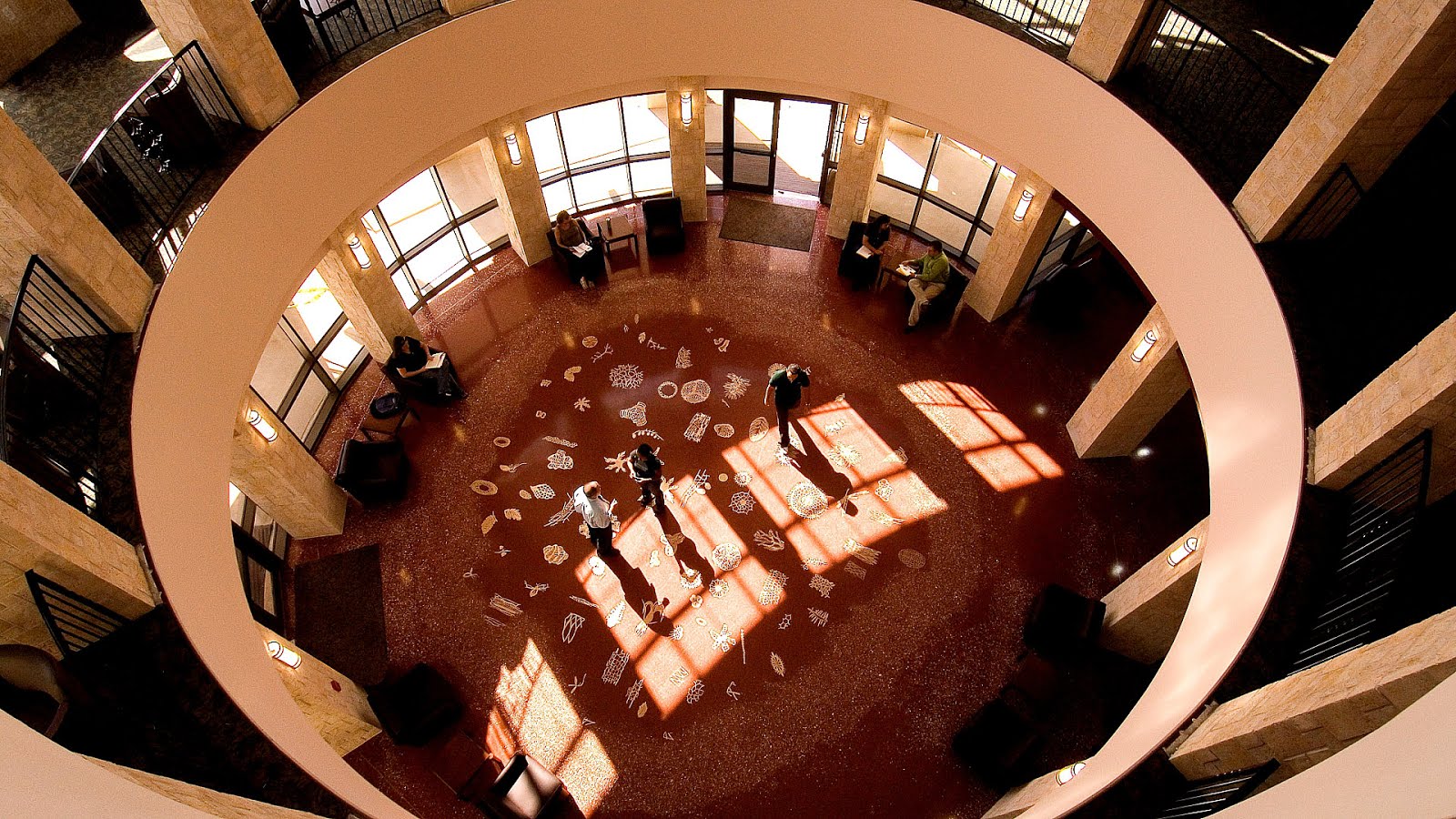 Universities With Photography Degrees - Photo Choices