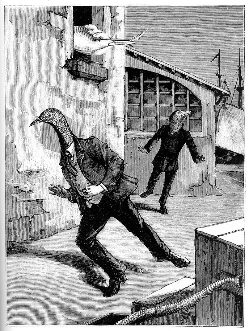 Un alma navegante: Max Ernst y las aves