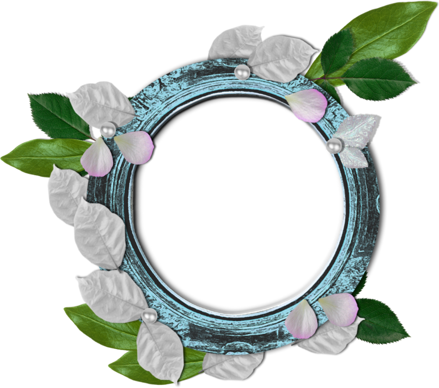 ForgetMeNot: spring frames