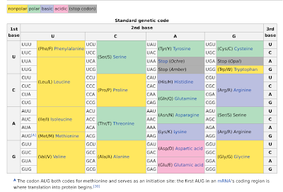 Hamal's musings: Evidence for common descent: DNA redundancy