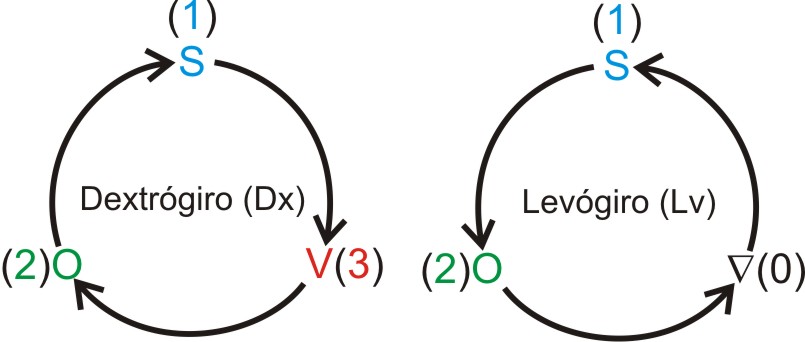 Historia de la Lógica Transcursiva (Capítulo 298)