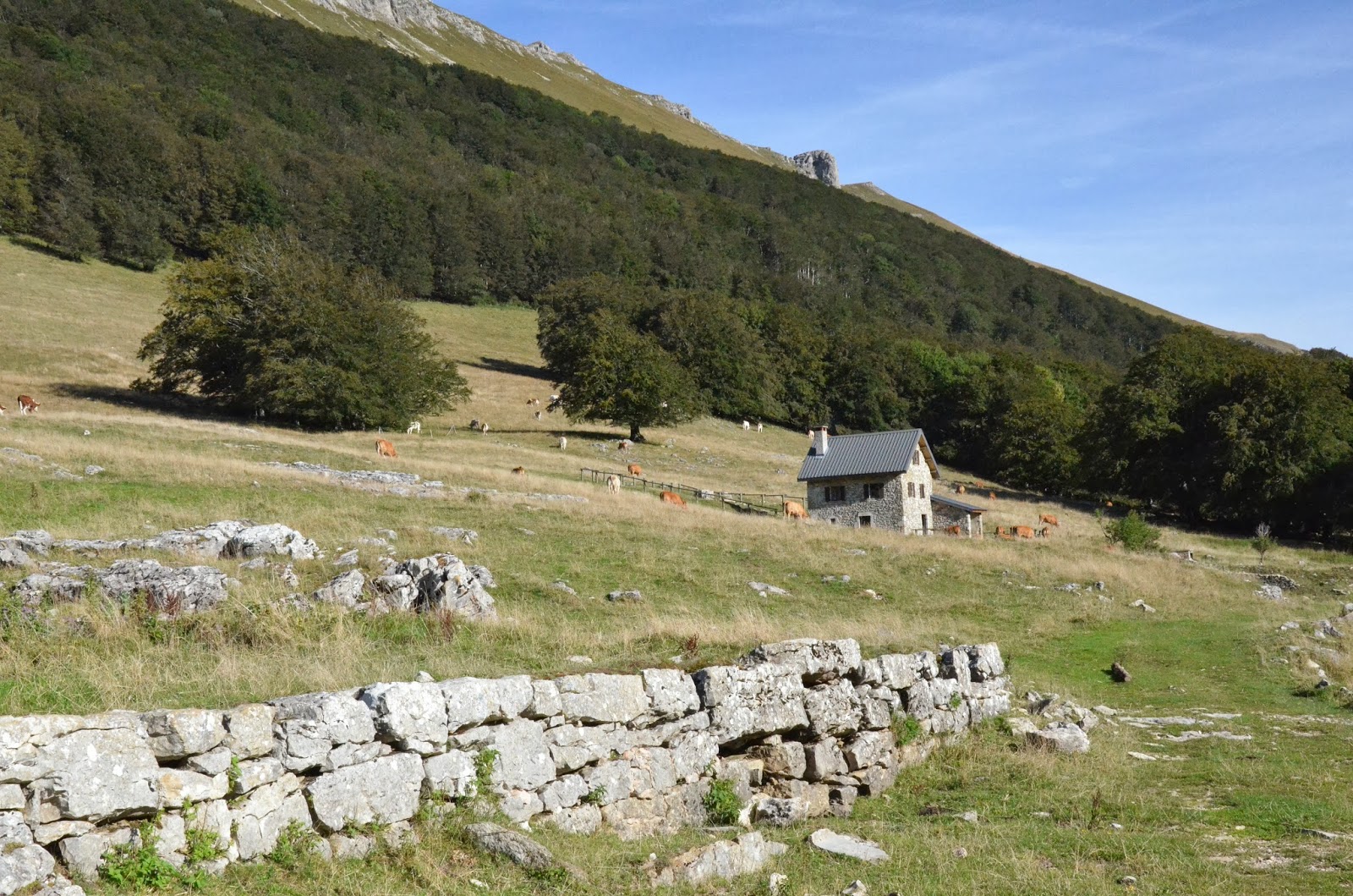 Balades au cœur du Dauphiné: Tête de La Dame sur le Plateau d'Ambel