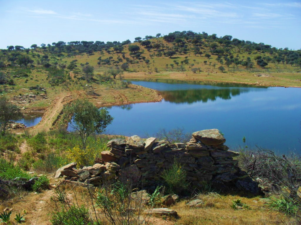O melhor Alentejo do Mundo: Grande Lago de Alqueva