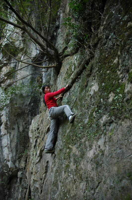 The Holiday and Travel Magazine: 'Spiderwoman' tries to crawl out of ...