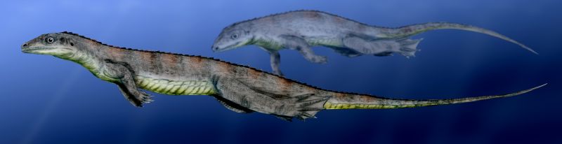 Los animales en la prehistoria: Animales prehistóricos con la letra A