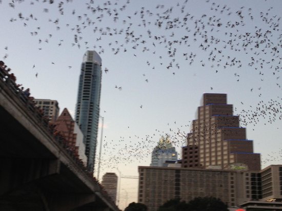 The Crafty Reporter: 5 Reason Why I Love Austin!