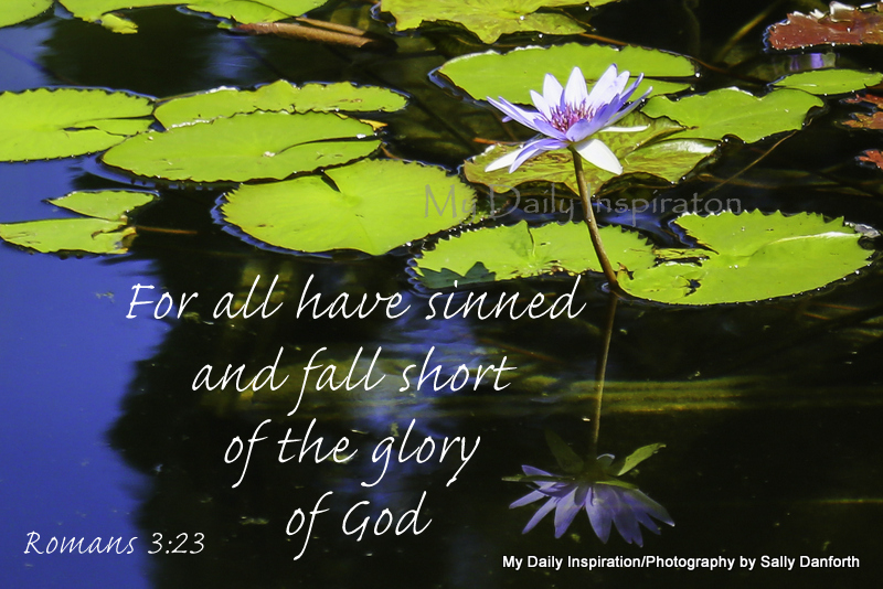 For all have sinned and fall short of the glory of God