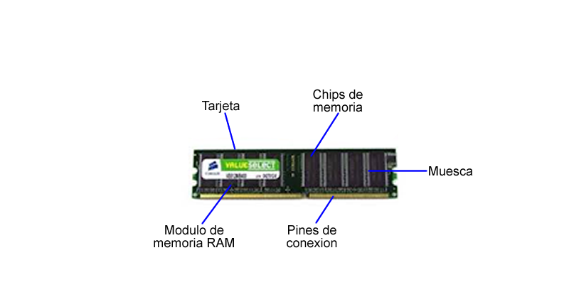 Arquitectura_Tareas: Tipo de memoria RAM