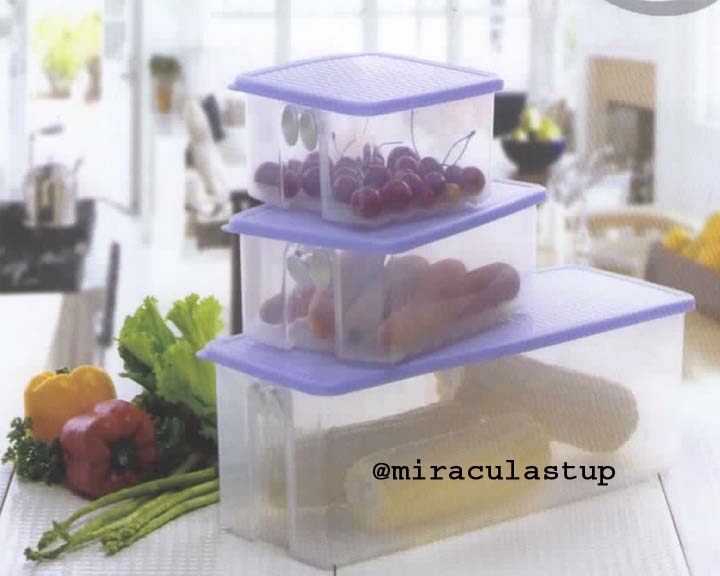 Tupperware: Refrigerator