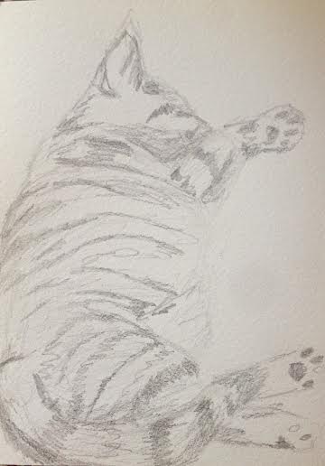 Independent Study-Drawing: May 2016