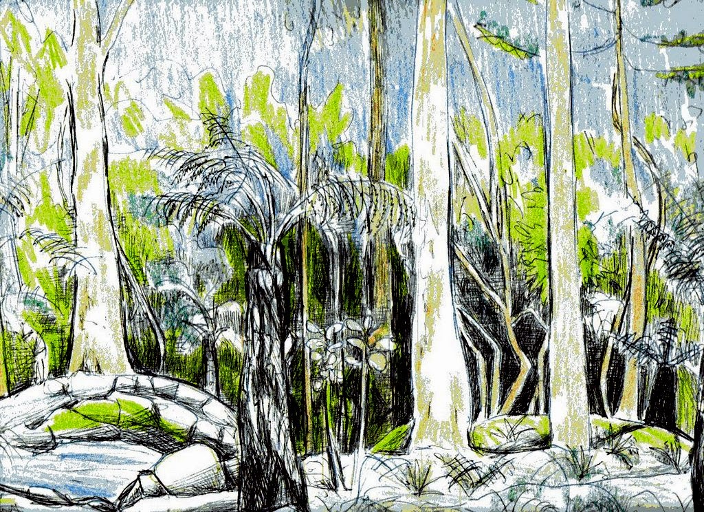 Geelong Visual Diary: Ferns at the Geelong Botanical Gardens