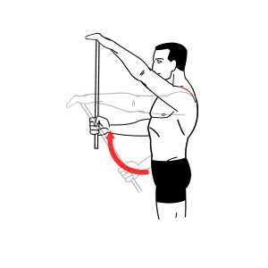New Shoulder Exercises in PT-Helper | PT-Helper