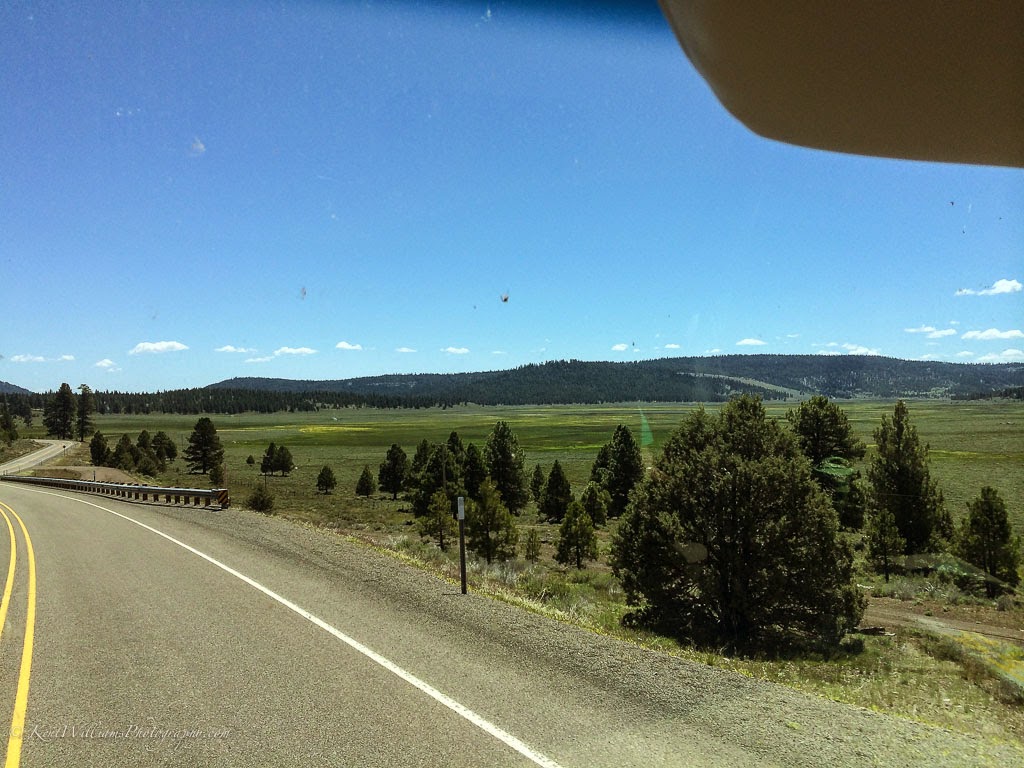 Life in the Right Lane: Day 2 - Back in Oregon. Hart Mountain Antelope ...