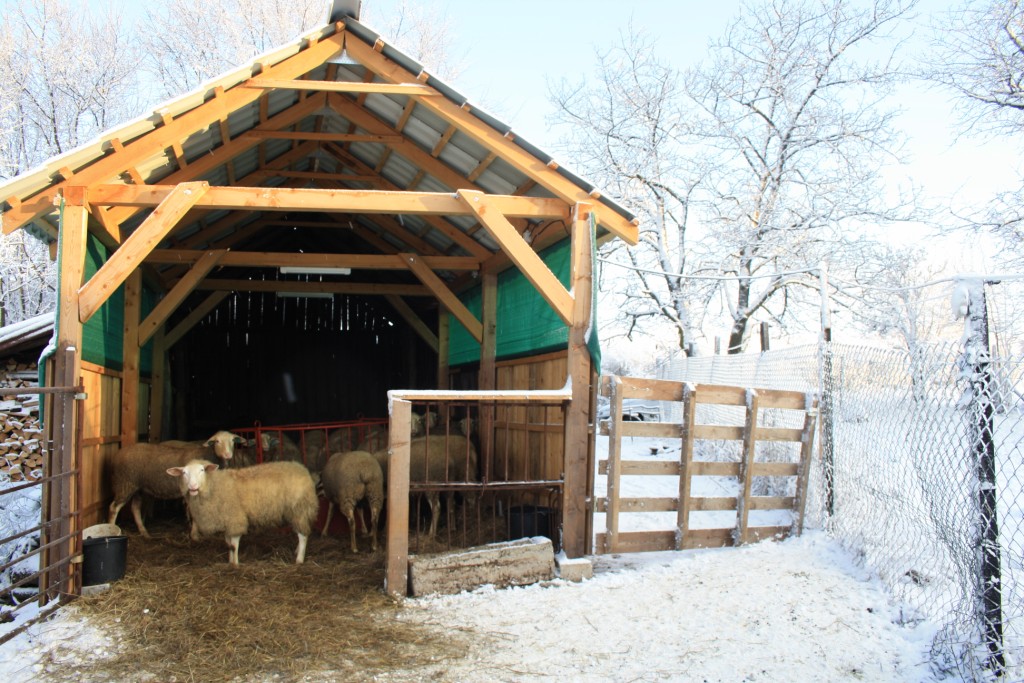 Living on a farm in Slovakia: New housing
