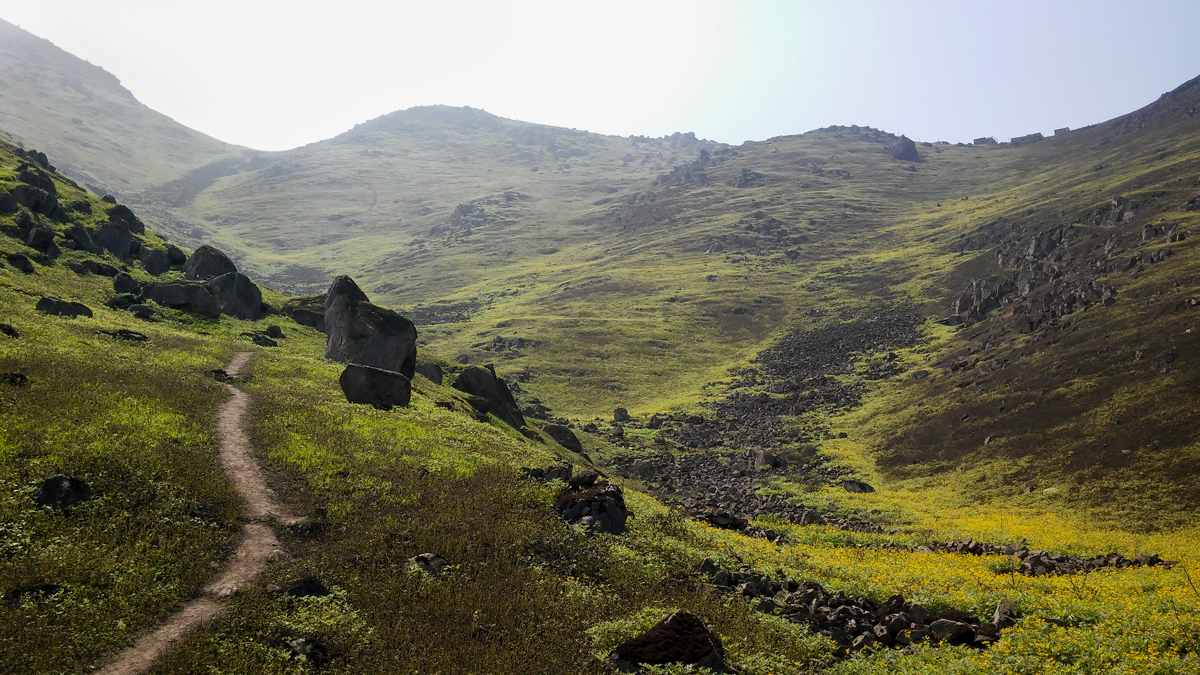 TRIBUNA LARAMATINA : “LOMAS” LA OTRA CARA DE LIMA , NATURALEZA EN LA CIUDAD