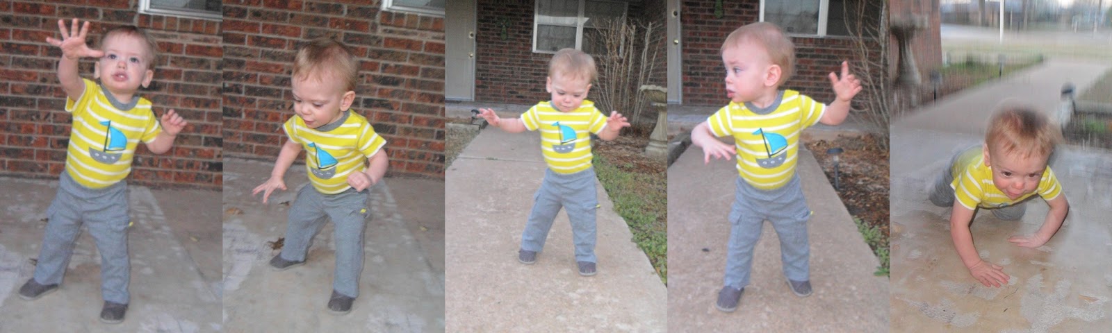 Six Dream Weavers: Guest Blogger: One and a Half