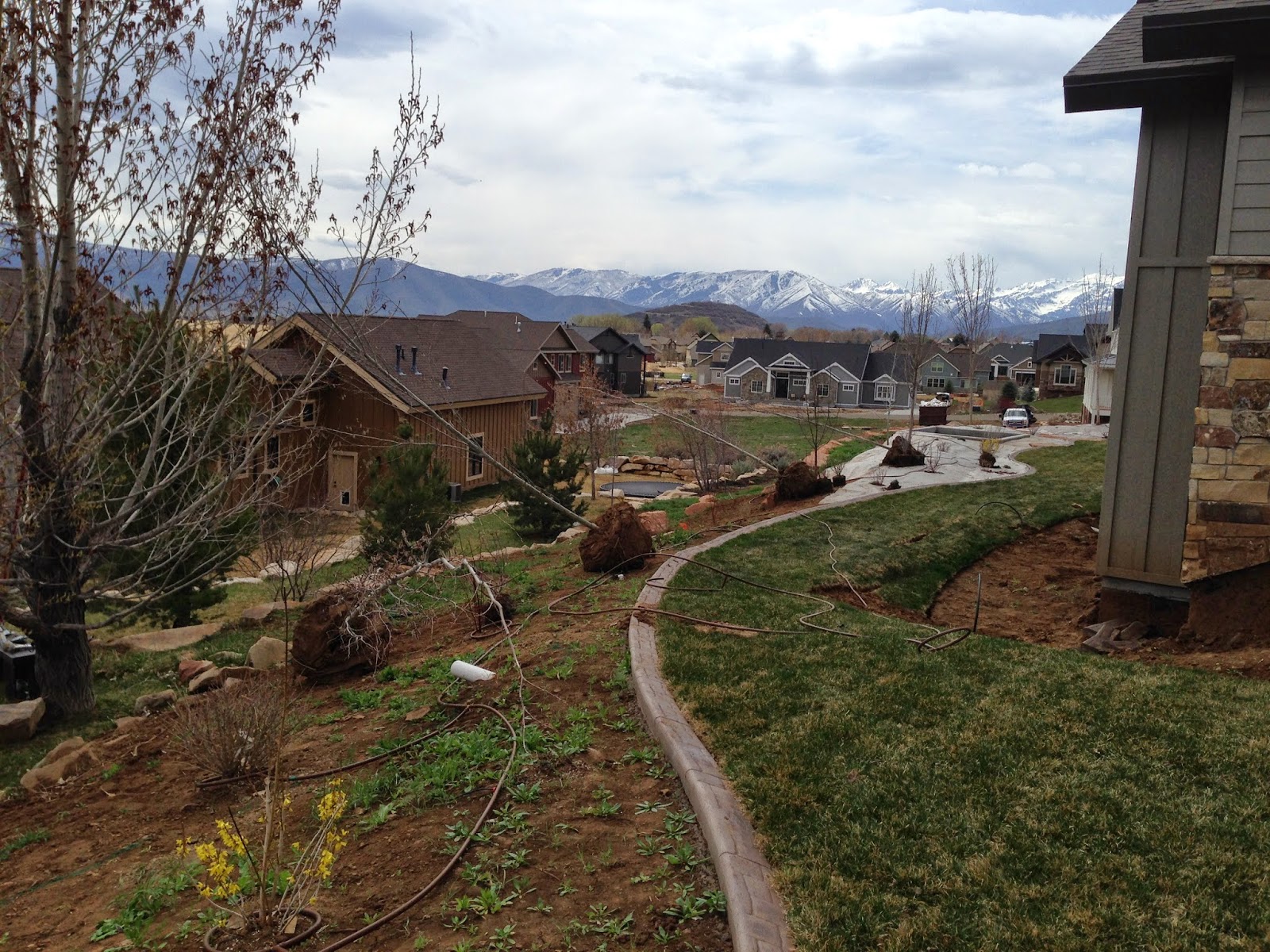 Simons {6}.: Million Dollar Driveway.