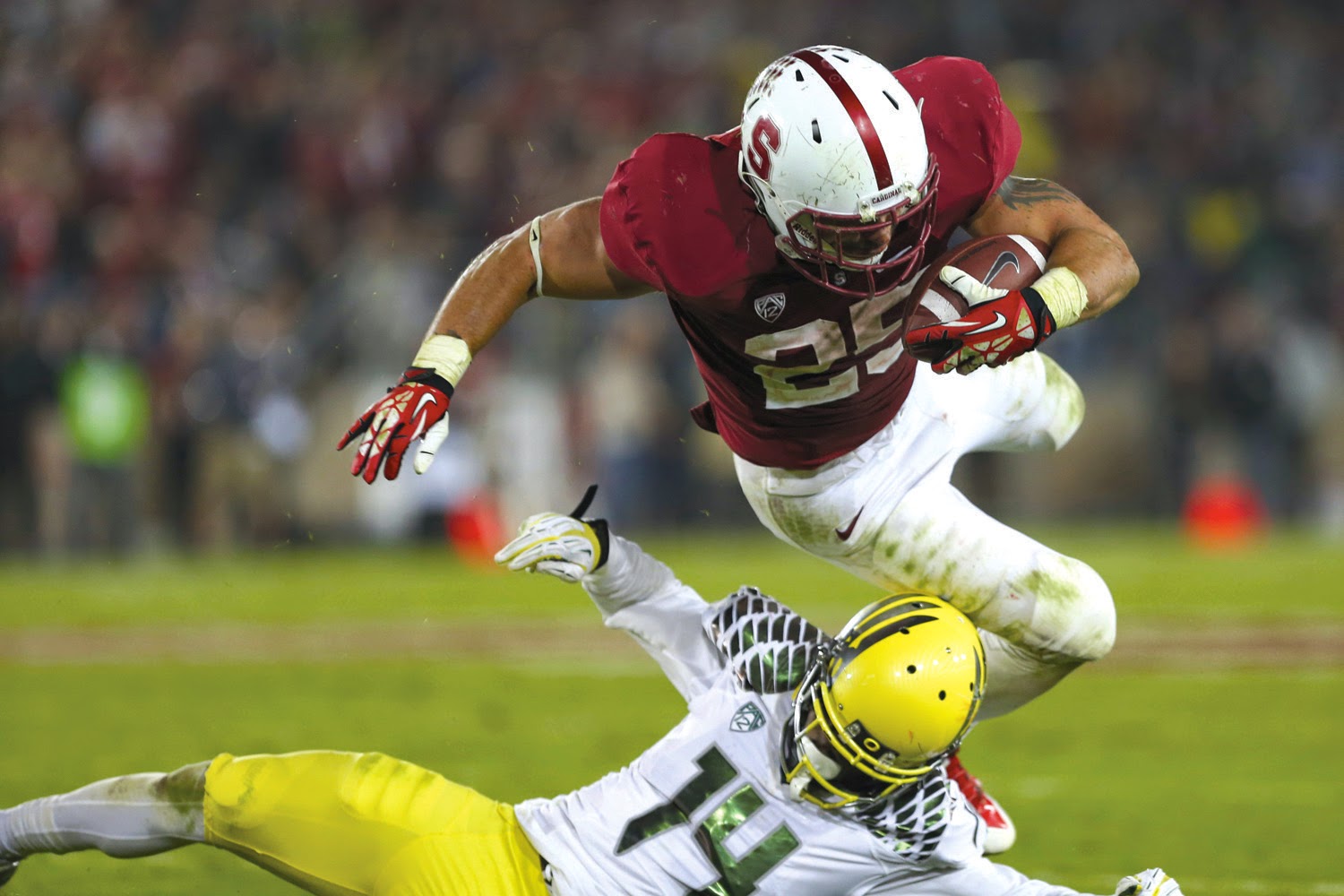 Tyler Gaffney could be the versatile RB the Patriots need