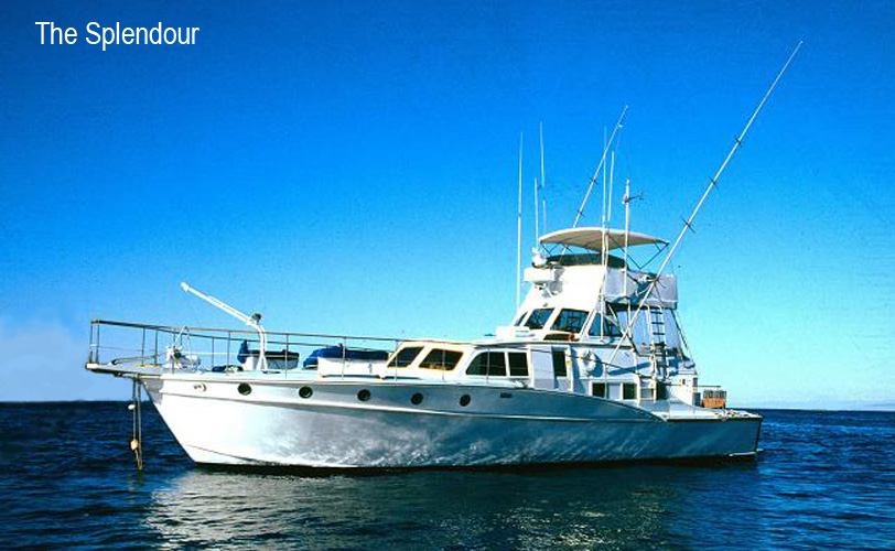 DEAD IN THE WATER Crime Magazine