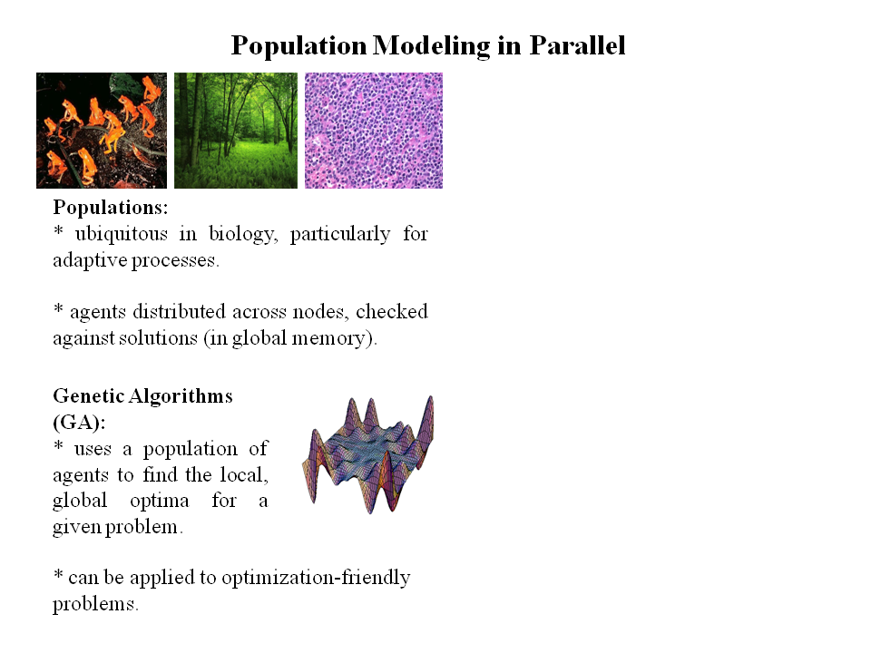 Synthetic Daisies: Scenes from a graphical, parallel biology (Presentation)
