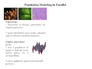 Synthetic Daisies: Scenes from a graphical, parallel biology (Presentation)