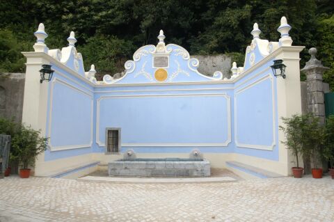 Olhai os lírios do campo: Quarenta Dicas para 2013