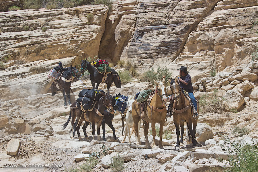 TRAVEL WITH ME: Havasupai, Grand Canyon, AZ (Part 1. Supai Village)